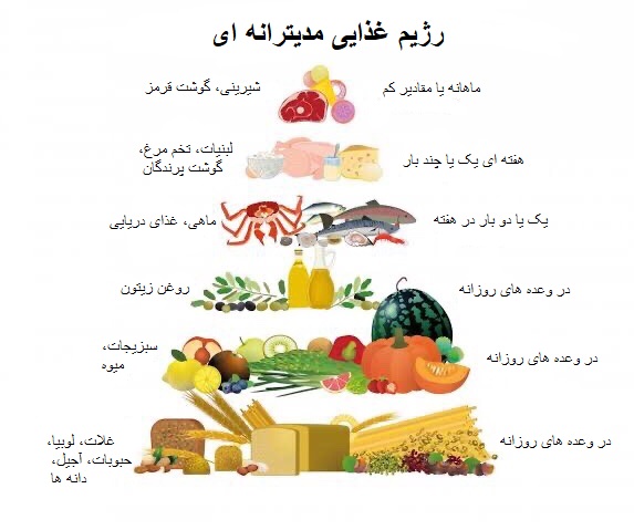 انواع رژیم های لاغری کداماند؟ و هر کدام چه ویژگی هایی دارند؟ رژیم های